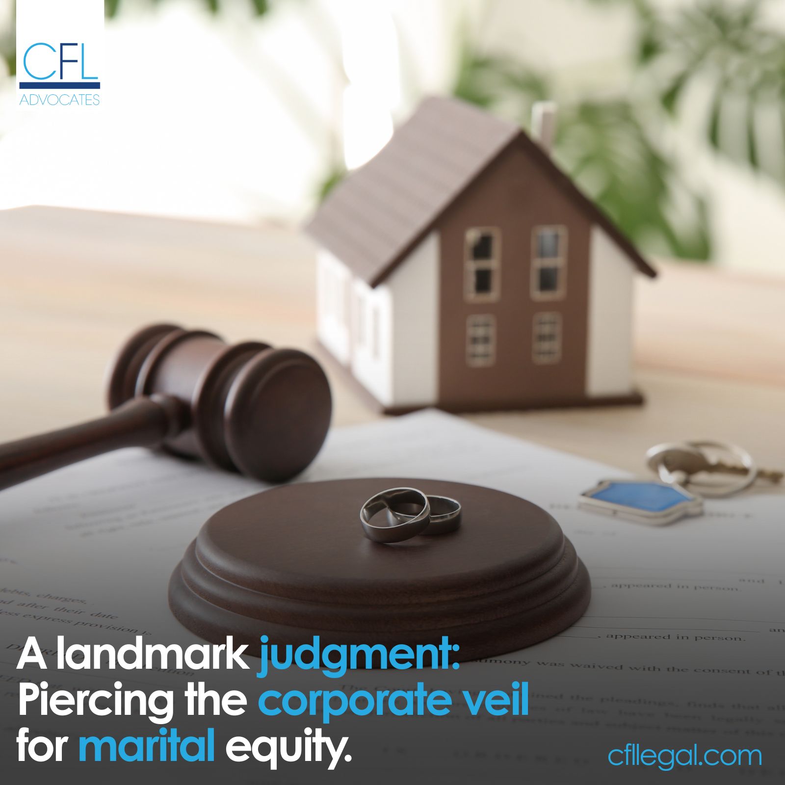 A landmark judgment: Piercing the corporate veil for marital equity ...