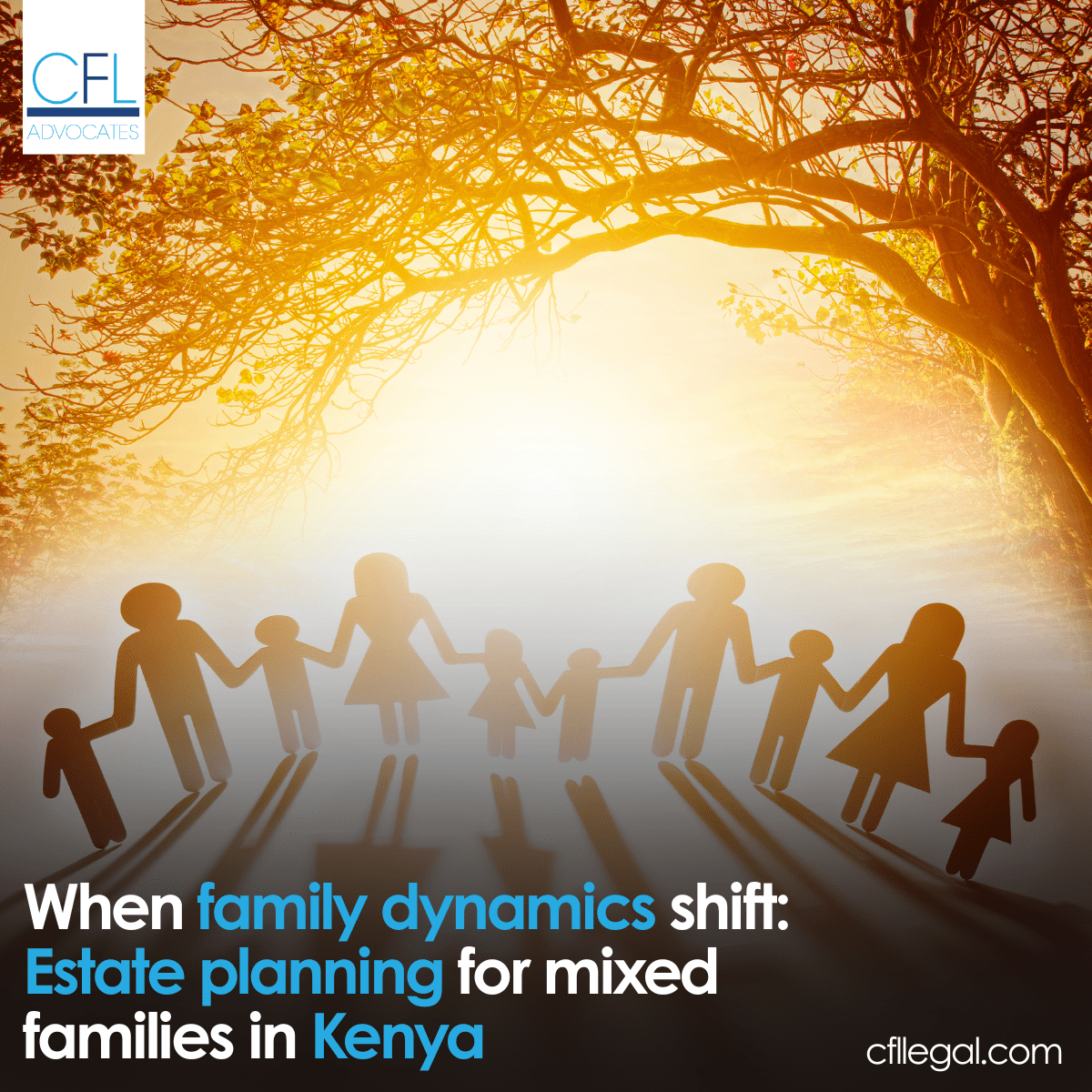 When Family dynamics shift: Estate planning for mixed families in Kenya ...